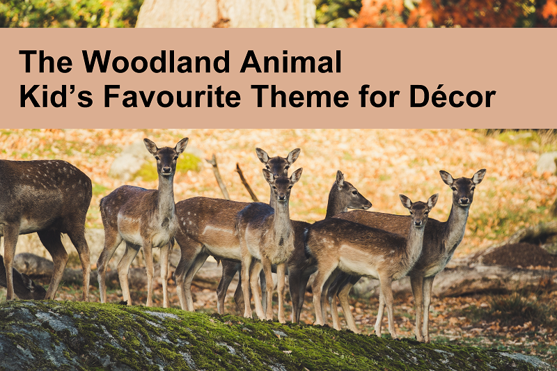 The Woodland Animals, Kid’s Favourite Theme for Décor – Crafty Mood